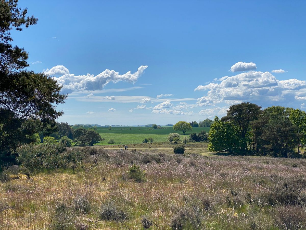 Tegners museum - flot placeret i danske "Rusland" - Campingferie.dk